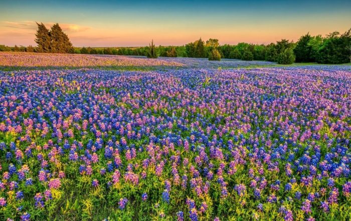 Fredericksburg TX Travel Guide - Things to Do in Fredericksburg | Inn ...